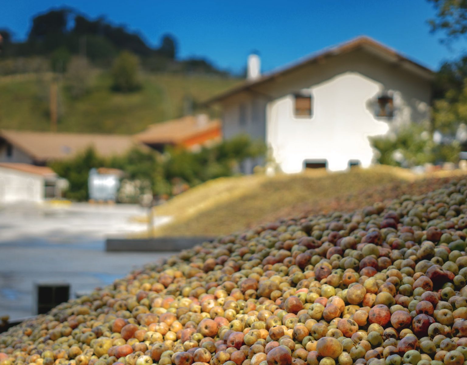 Book a visit • Zapiain Sagardoa