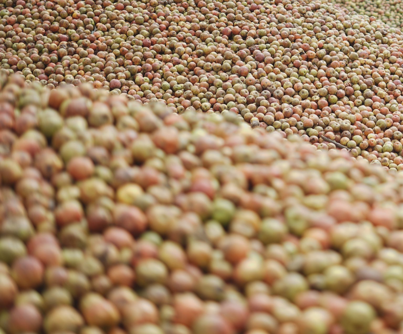 Visitar sidrería vasca Astigarraga - Tours guiados Zapiain