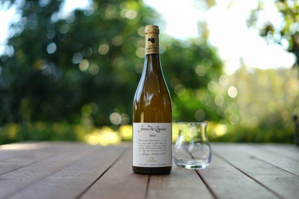 Natural cider • Zapiain Sagardoa